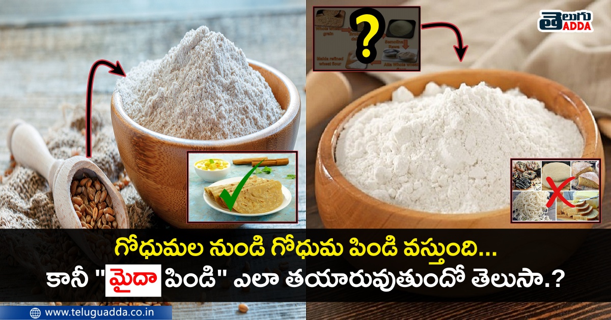గోధుమల నుండి గోధుమ పిండి వస్తుంది...కానీ "మైదా పిండి" ఎలా తయారువుతుందో ...