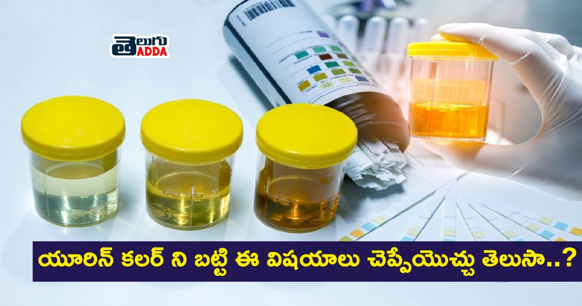 మీ ఆరోగ్యం ఎలా ఉందో మీ మూత్రమే చెప్పేస్తుంది.. ఈ చిన్న గుర్తులతో మీ ...